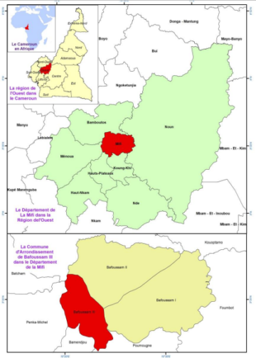 Commune de Bafoussam 3 - OIDP