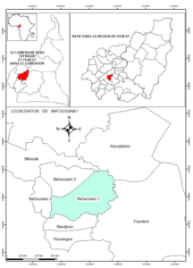COMMUNE DE BAFOUSSAM 1er - OIDP